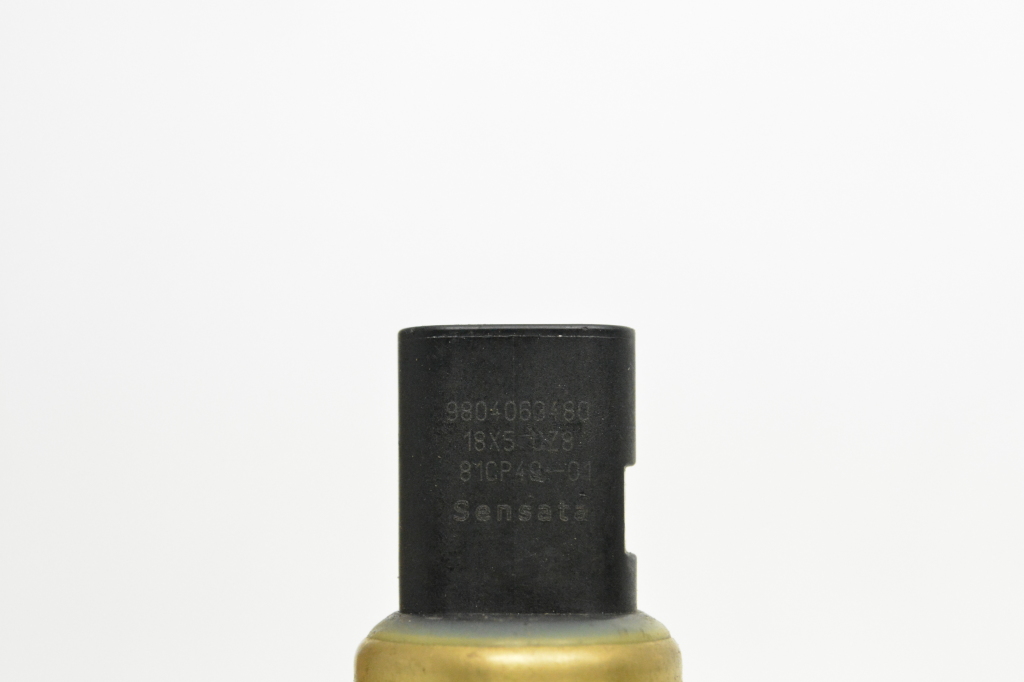 Naudotas Ford Focus Daviklis kitas 9804063480