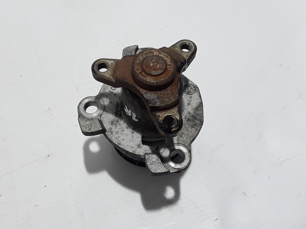 Used RENAULT Trafic Water pump 210103098R