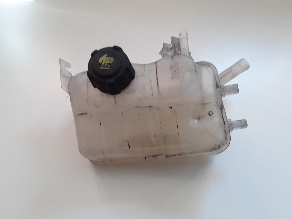 Used RENAULT Megane Tank for coolant 217100005R