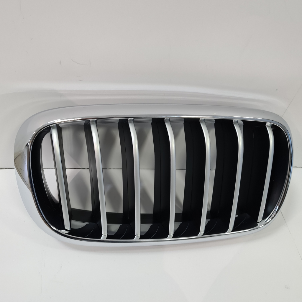 Used BMW X6 Front grille 51137373698