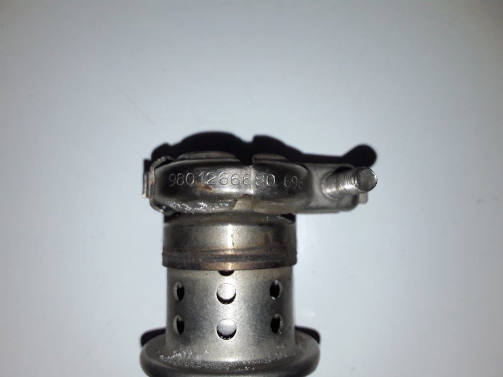 Used Citroen DS5 AdBlue nozzle 9801266680